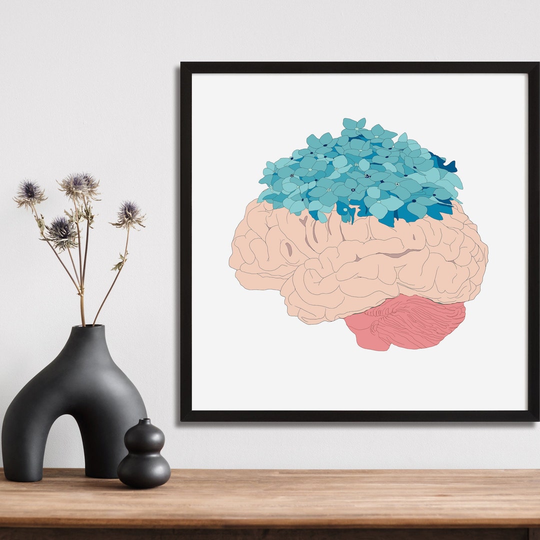 Imagine, Brain Anatomy With Hydrangeas, Colorful Anatomical Print ...