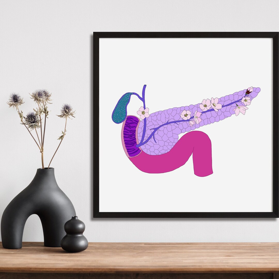 Digest Food, Pancreas Anatomy With Cherry Blossom, Anatomical Print ...