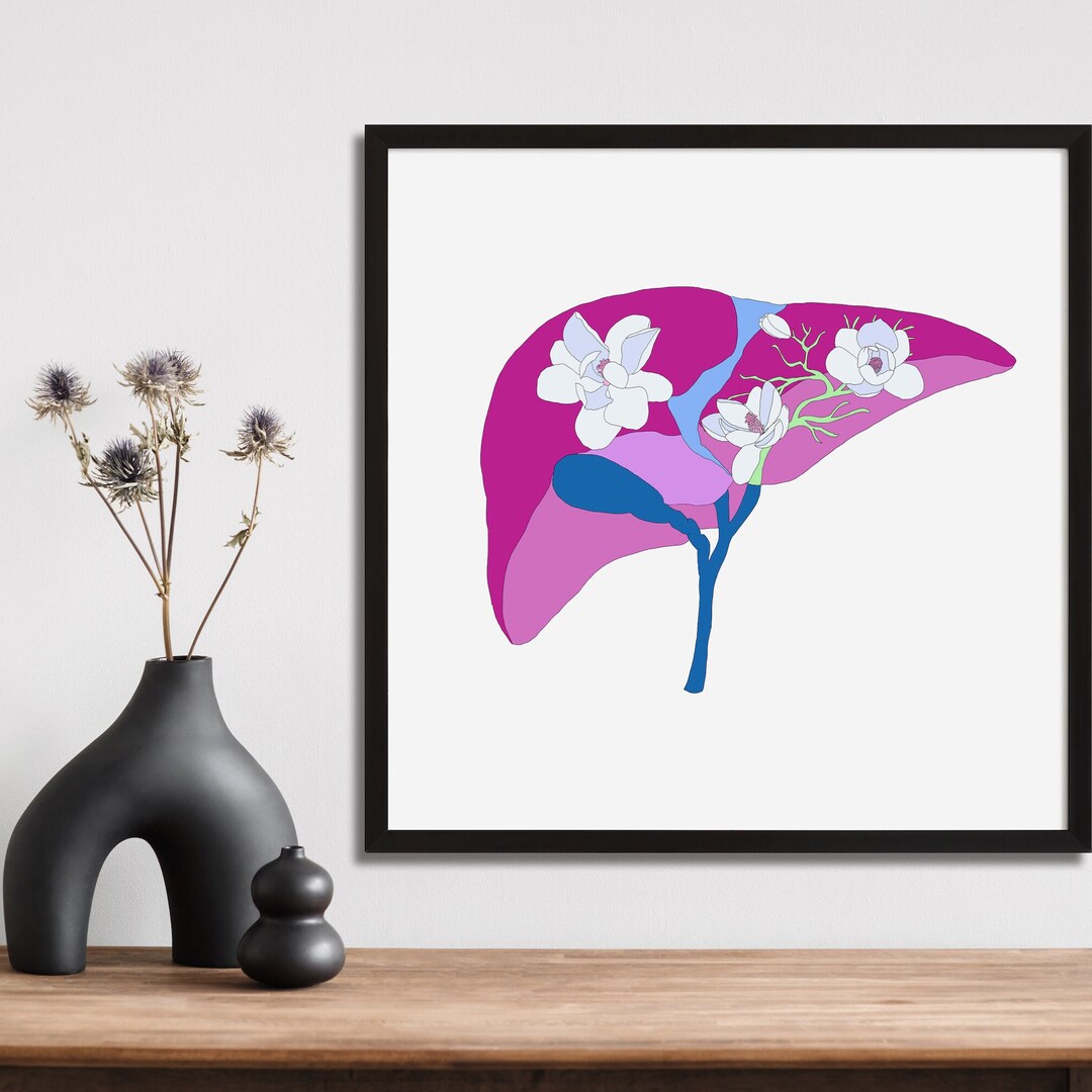 Be-liver, Liver Anatomy With Magnolia Flowers, Colorful Anatomical ...