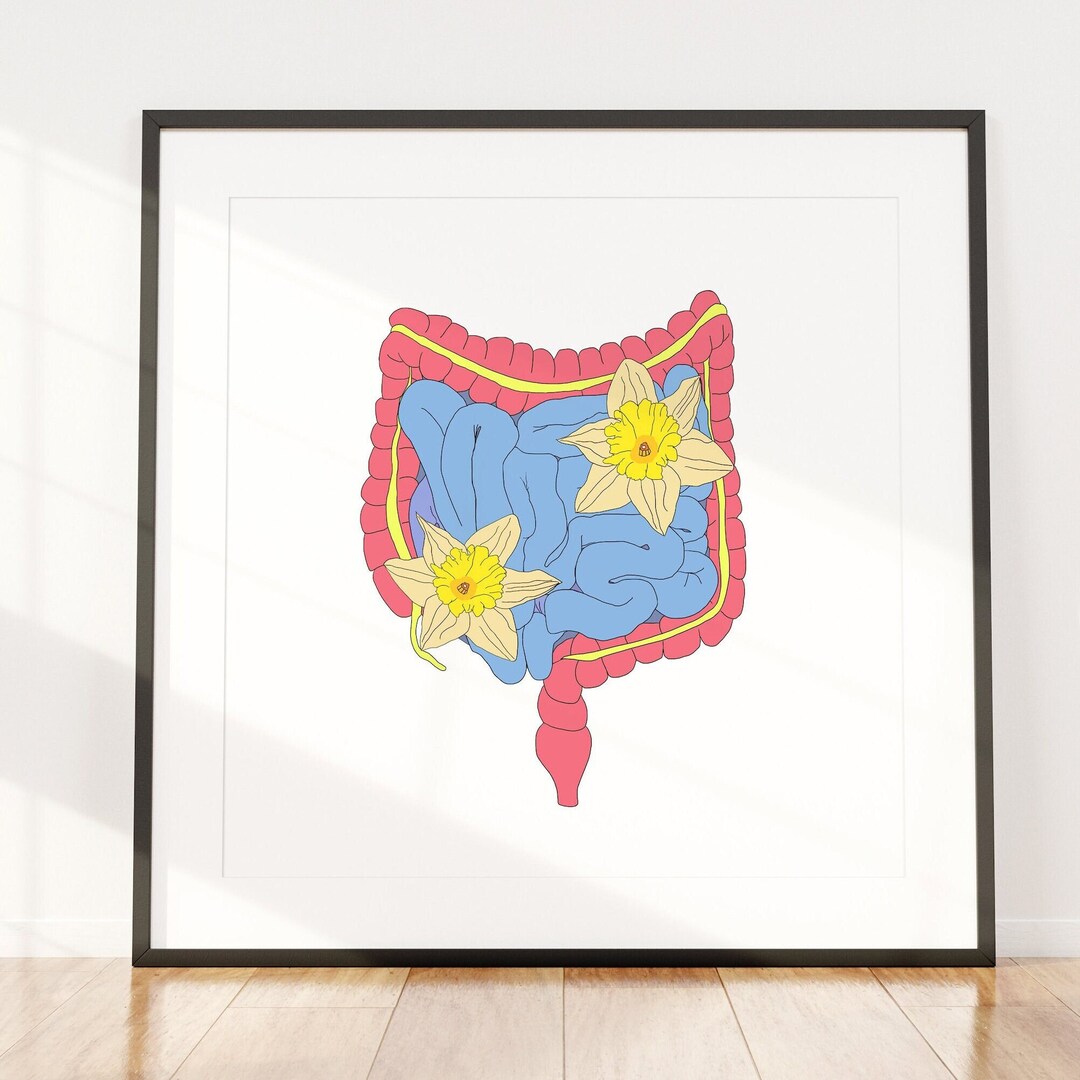 It Takes Guts, Intestine Anatomy With Lilies, Anatomical Print, Medical ...