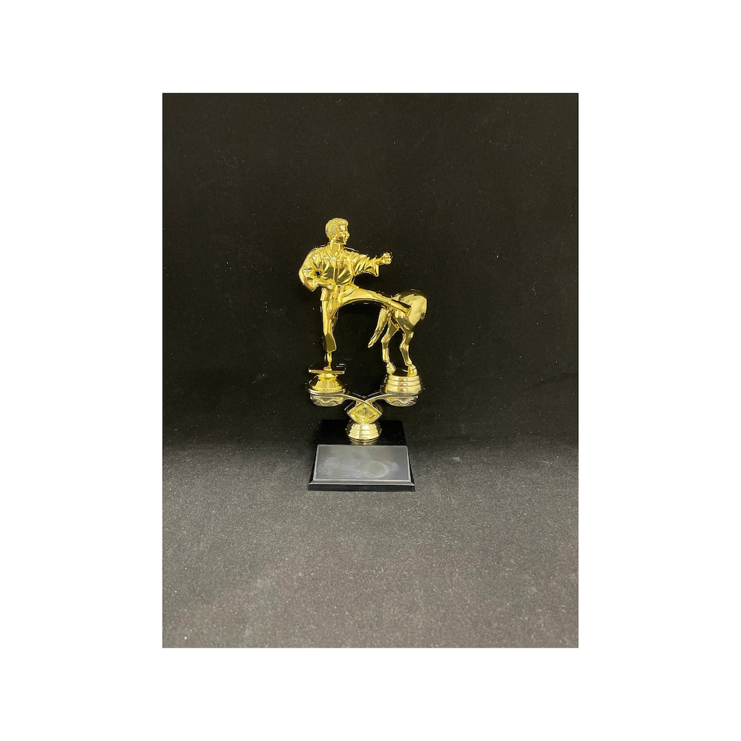 Kick Ass Trophy Funny Trophy Kick Ass Award - Etsy