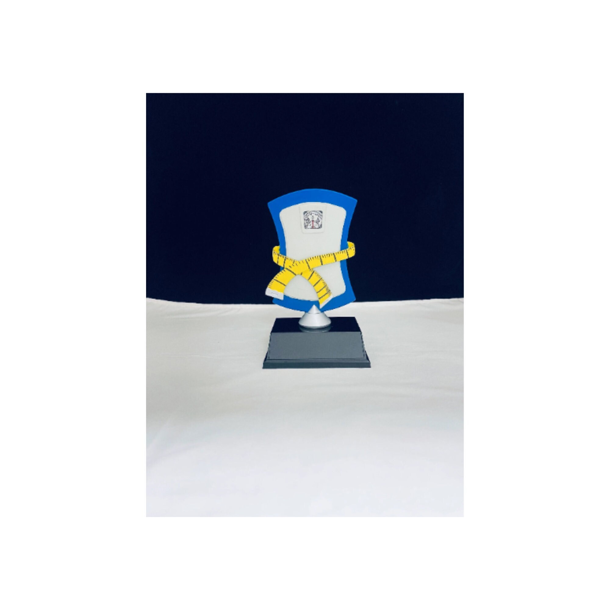 Weight Loss Trophy / Weight Loss Award / Weight Loss Winner / Weight ...