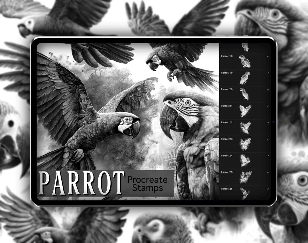 Parrot Realism Procreate Stamp Set 1 - 50 Parrot Bird Nature Brush ...