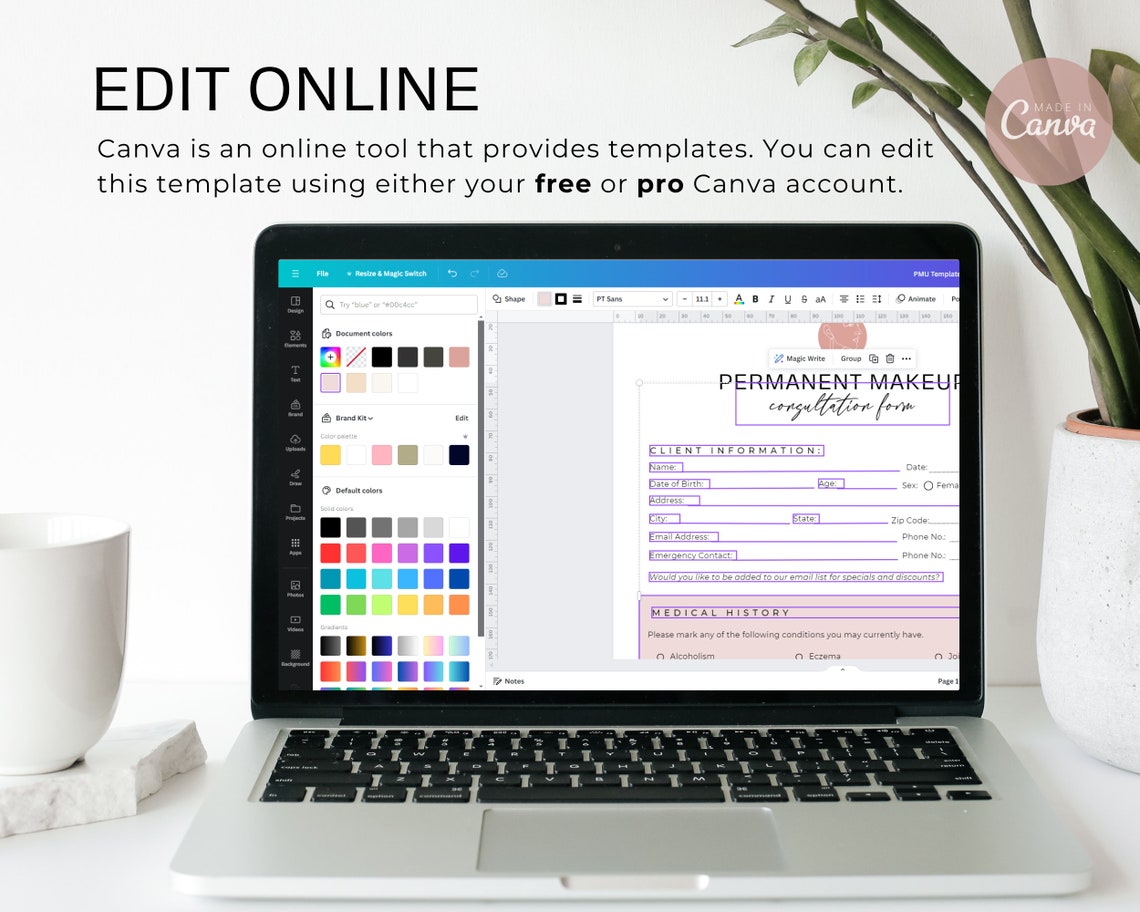 Permanent Makeup Forms Editable PMU Consent Form Template Printable ...