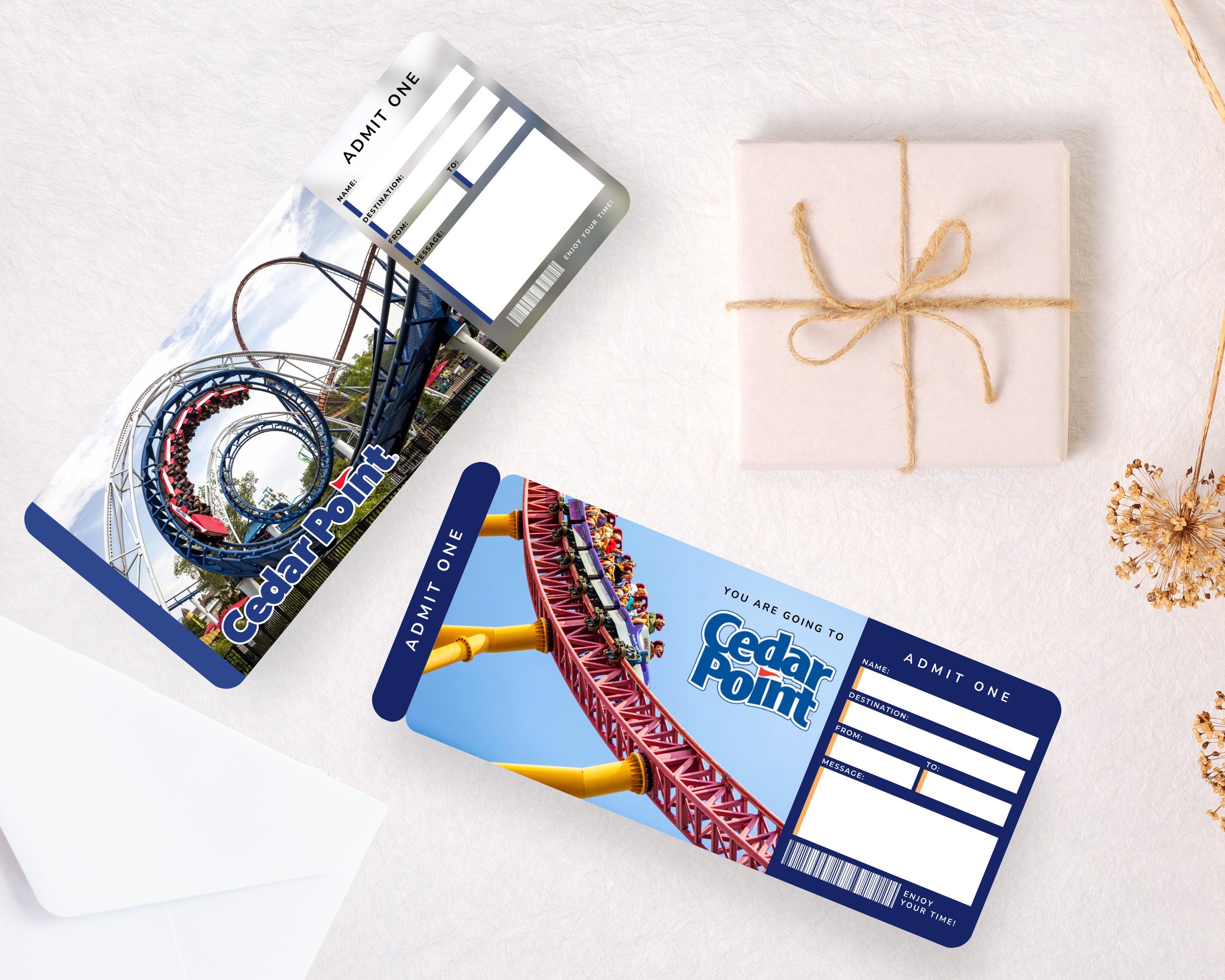 Digital CEDAR POINT Surprise Trip Gift Ticket, Amusement Park Printable ...