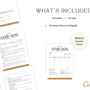 Stud Dog Contract Template, Breeding Services for Stud Dog Agreement, Dog Breeding Agreement ...