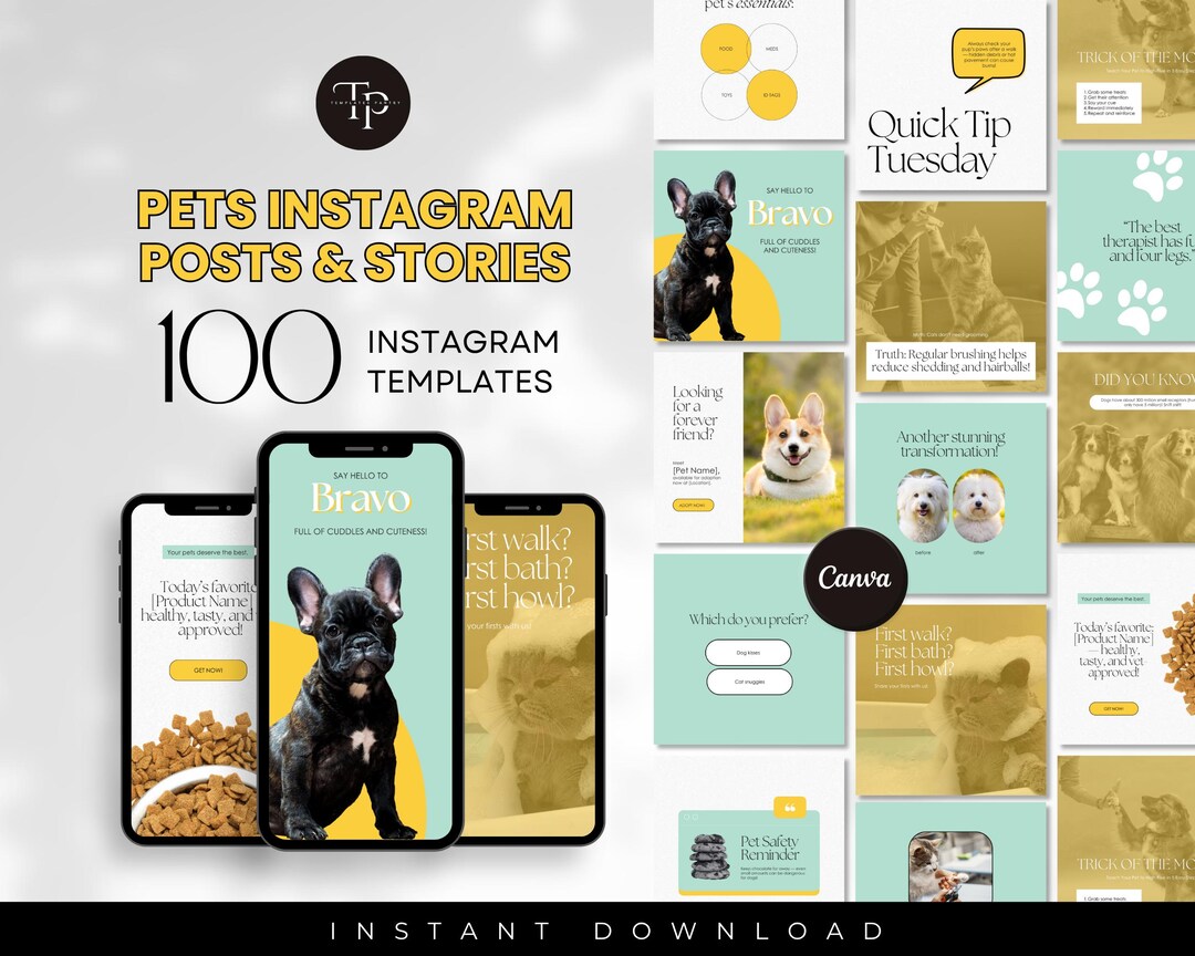 Pets Instagram Post & Story Template, 50 IG Post, 50 IG Story, Social ...