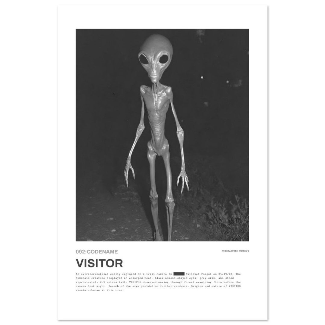 Codename: Visitor - Trail Cam Alien Poster - Paranormal Wall Art - Etsy