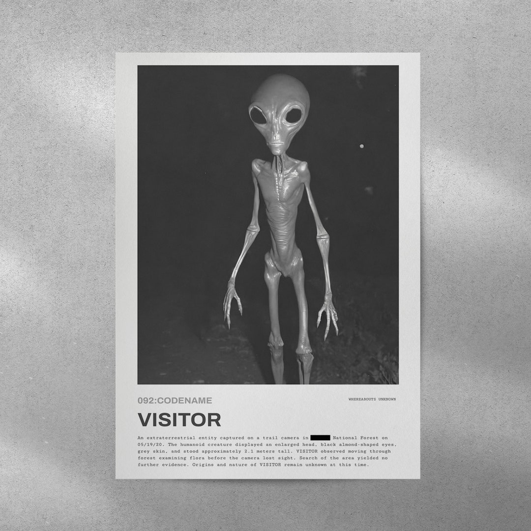 Digital Print - 092 - Trail Cam Alien Poster - Paranormal Wall Art - Etsy