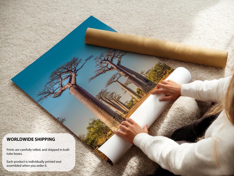 Alley of the Baobabs Madagascar Fine Art Photography Print, Iconic ...