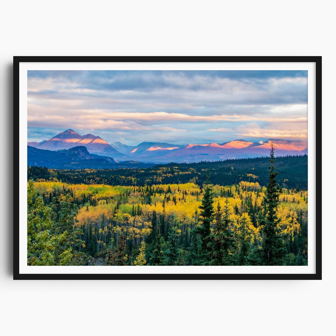 Denali National Park Photo Print, Denali Wall Art, Fall Forest Poster ...