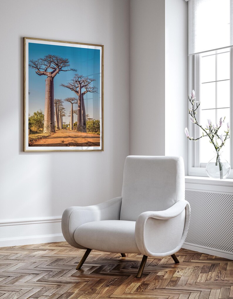Alley of the Baobabs Madagascar Fine Art Photography Print, Iconic ...