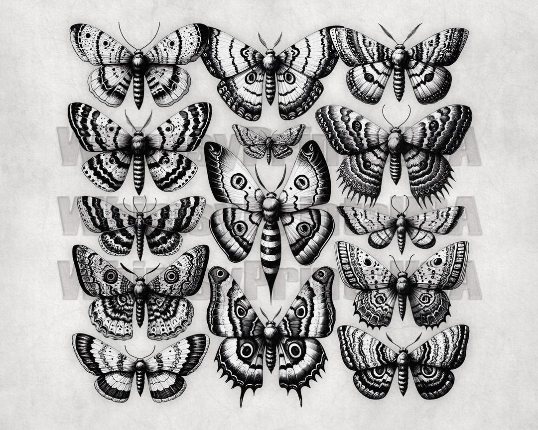 Butterflies Grid PNG Design for Print on Demand Sublimation Art ...