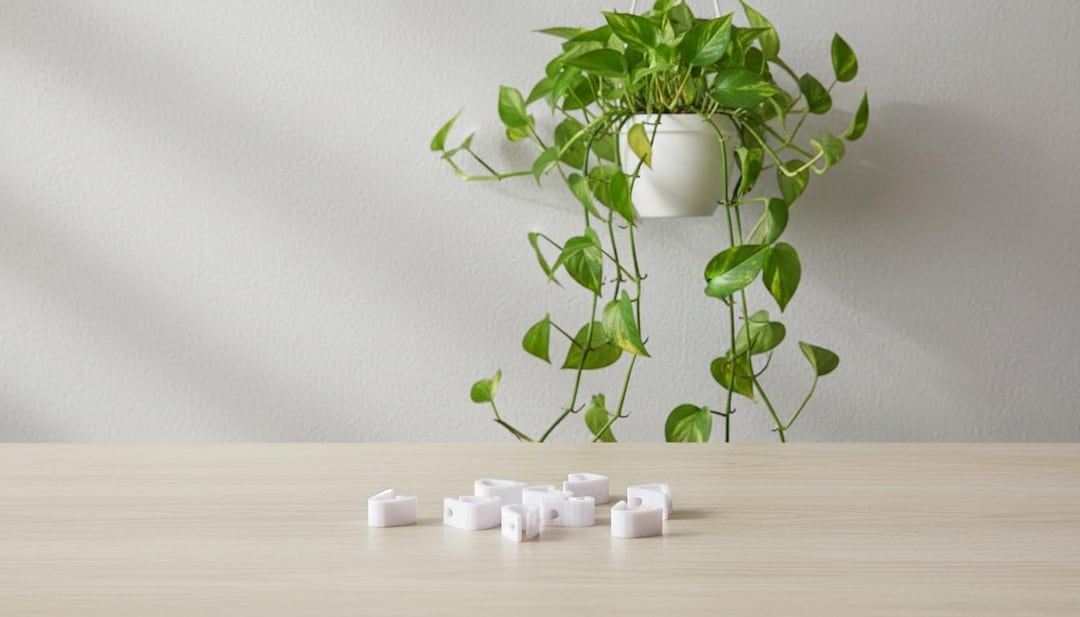 10 Pack- Pothos Plant Hooks – 3D Printed Hanging Vine Clips - Etsy Canada
