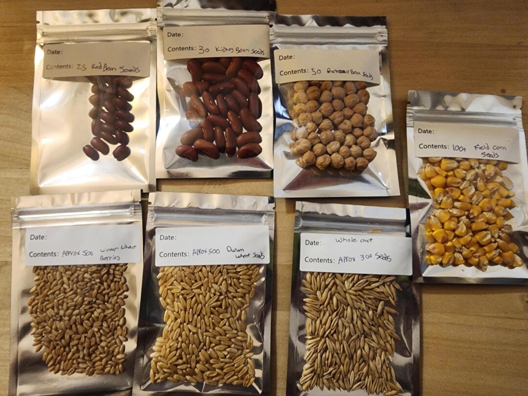 Homestead Grain and Legume Growers Pack – Heirloom Wheat, Oats, Corn ...