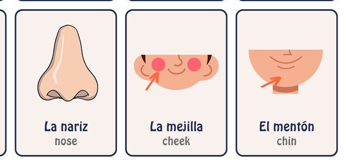 Flashcards Bilingual Parts of the Body Spanish and English Digital - Etsy