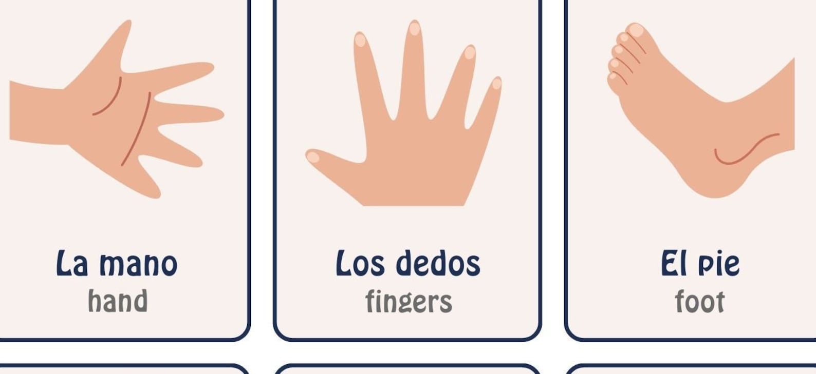Flashcards Bilingual - Parts of the Body - Spanish and English ...