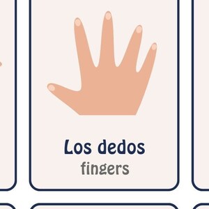 Flashcards Bilingual Parts of the Body Spanish and English Digital - Etsy