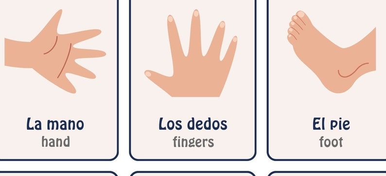 Flashcards Bilingual - Parts of the Body - Spanish and English ...