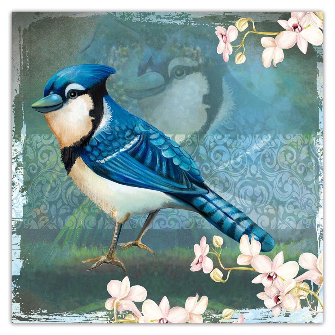 Blue Jay Sticker Gift Bird Lover Cute Decor Birdism Bird Watcher - Etsy