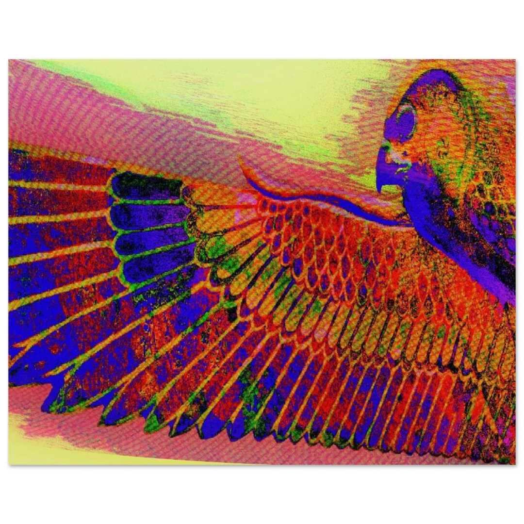 The Hawk the Right to Bear Walls 16x20 Aluminum Print - Etsy
