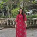 Vietnamese Modern Aodai Dindan Red, Pants Included - Etsy