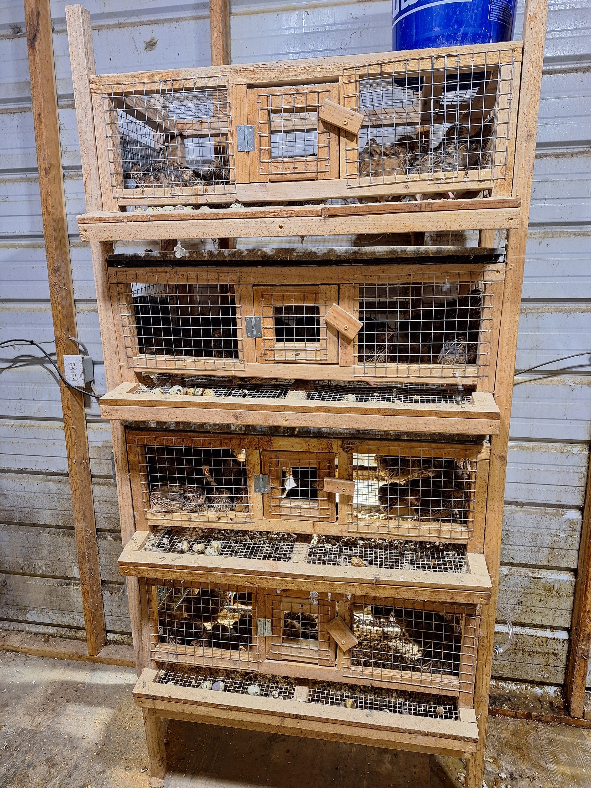 Quail Cage With Egg Rollout - Etsy