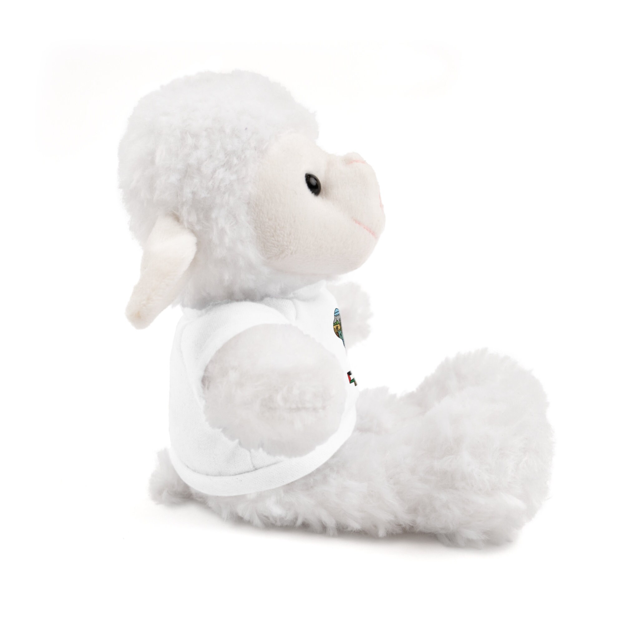 Palestine Key of Return Plush - Etsy