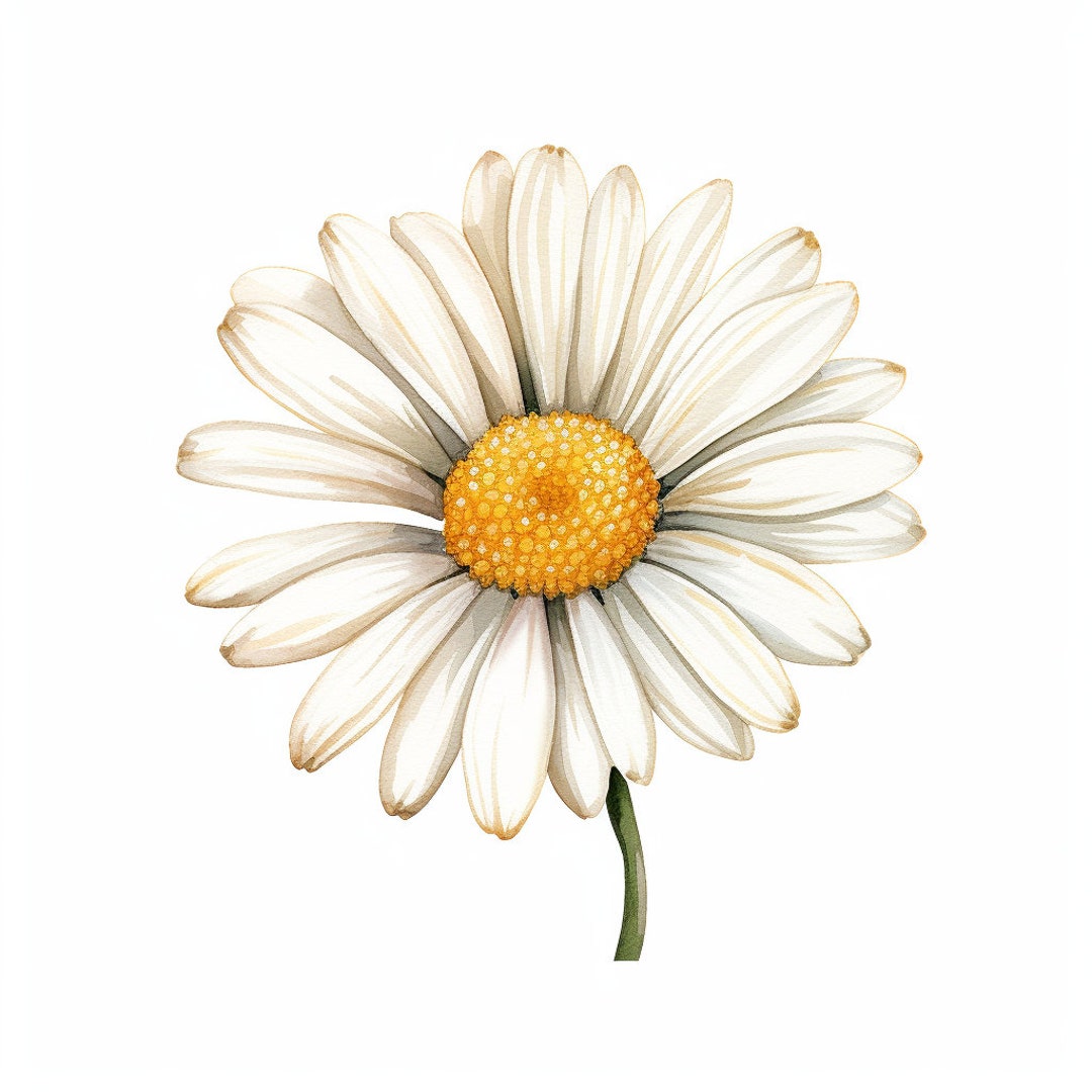 Daisy Watercolour Print DIGITAL PRINT FILE - Etsy