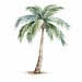 Palm Tree Watercolour DIGITAL PRINT FILE - Etsy