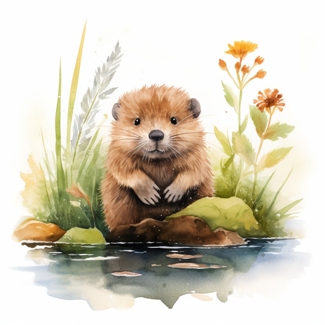 Baby Beaver Watercolour DIGITAL PRINT FILE - Etsy