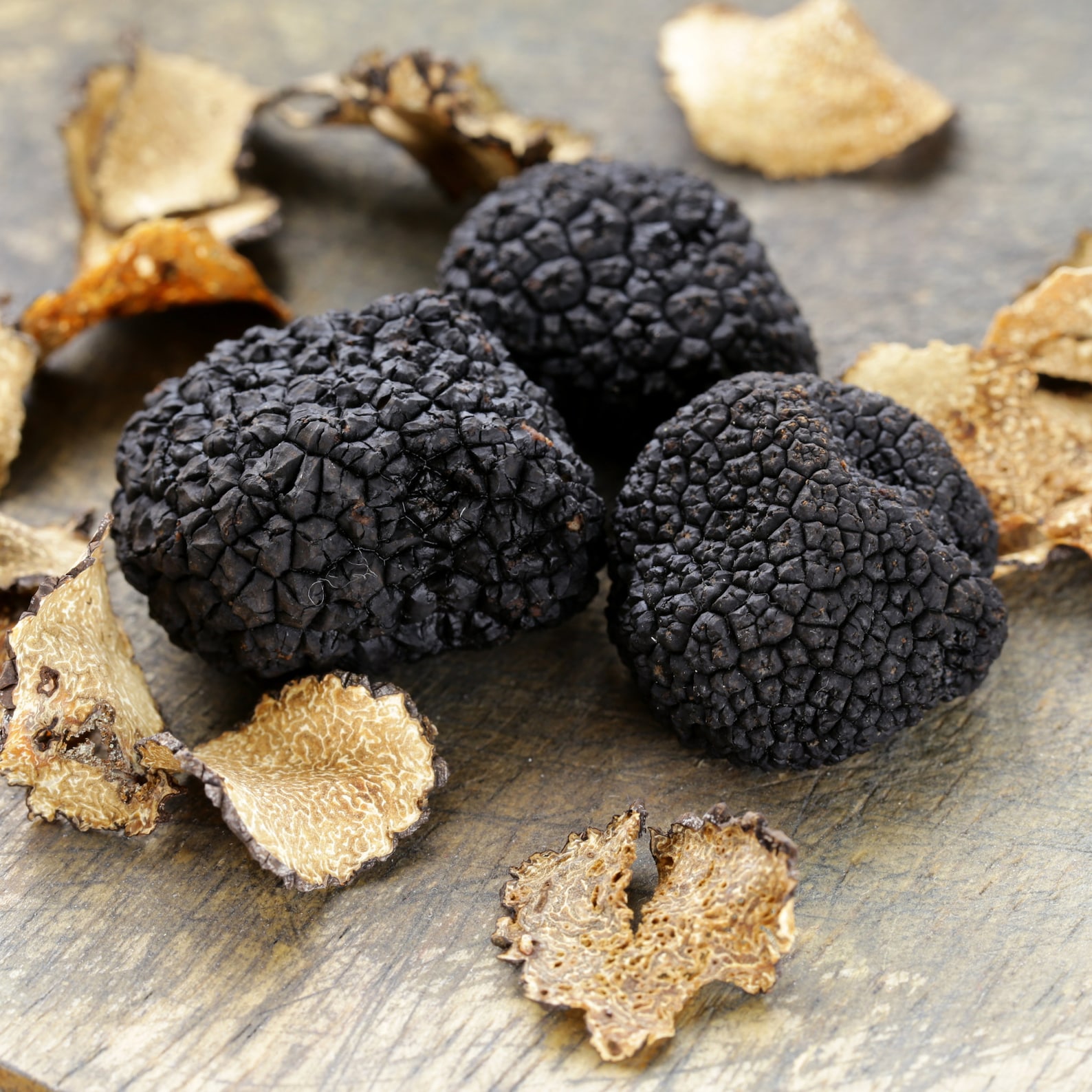 Black Truffle Infused Honey Raw Honey Black Truffle Organic Black ...