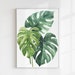 Monstera Prints Set of 2 Monstera Printable Wall Art Home Decor ...