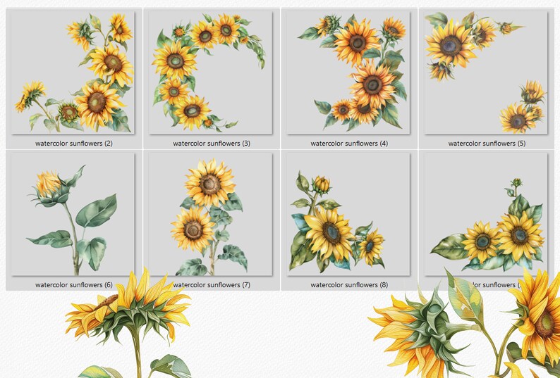 Watercolor Sunflower Wreaths, Sunflower 9 PNG, Floral Rustic Clipart ...