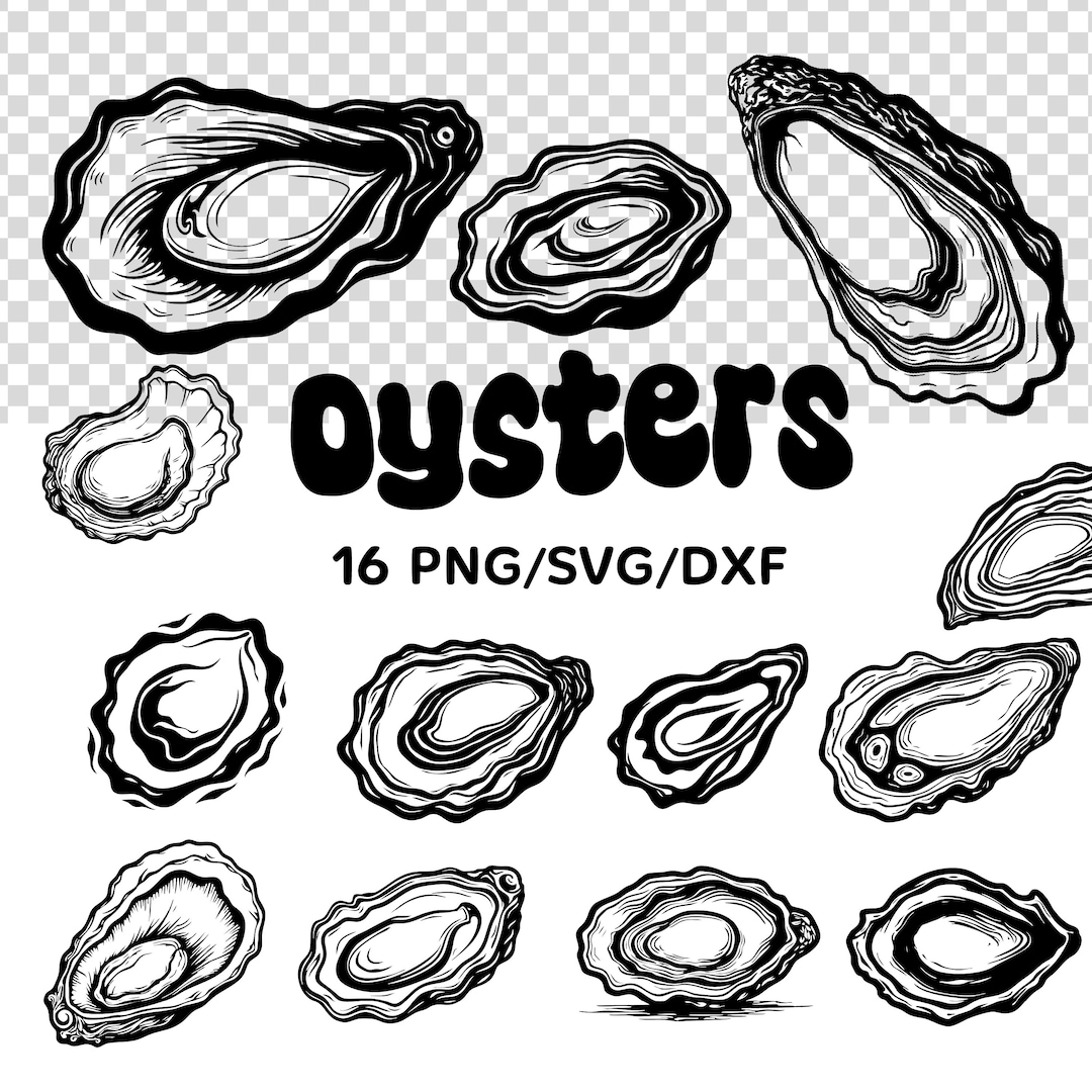 Oysters SVG\PNG Bundle Clipart Style Vector Clipart Oysters SET 16 Png ...