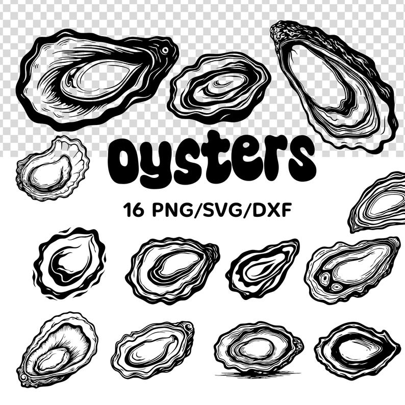 Oysters SVG\PNG Bundle Clipart Style Vector Clipart Oysters SET 16 Png ...
