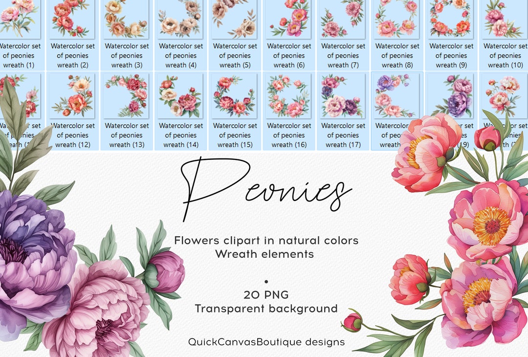 Watercolor Peonies Flowers PNG, Watercolor Floral Clipart Peonies ...