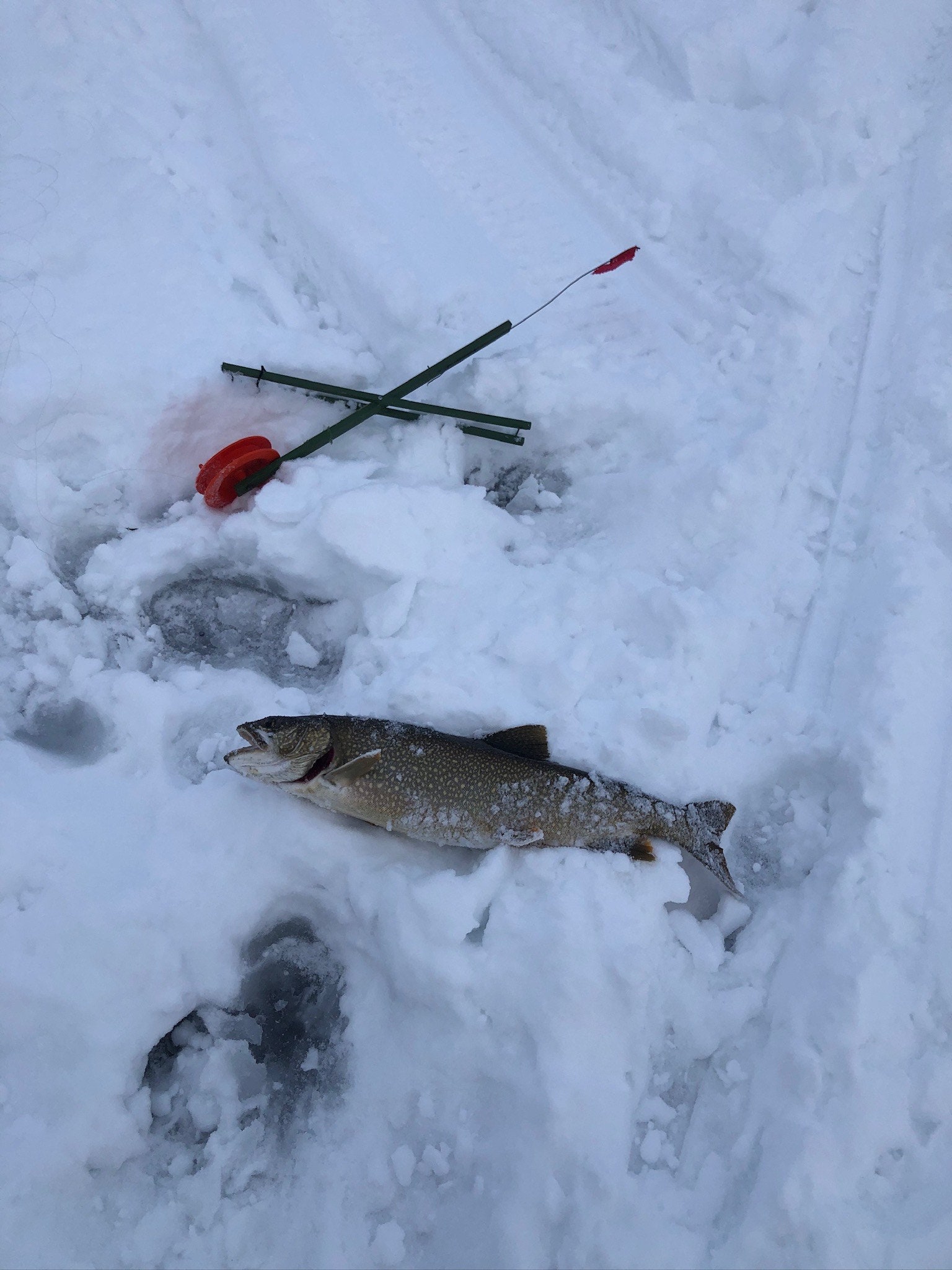 Big Reel Tip-ups - Hand Made in Northern Michigan! - Etsy