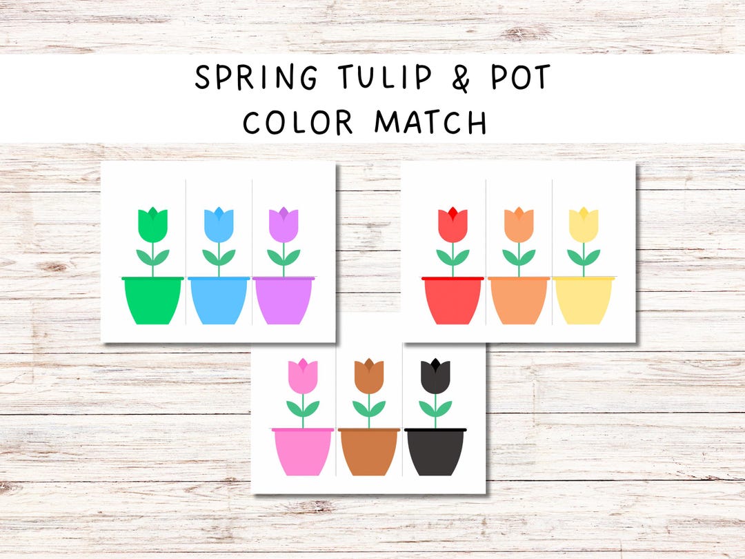 Spring Tulip & Pot Flower Color Match Activity Worksheet for Toddlers ...