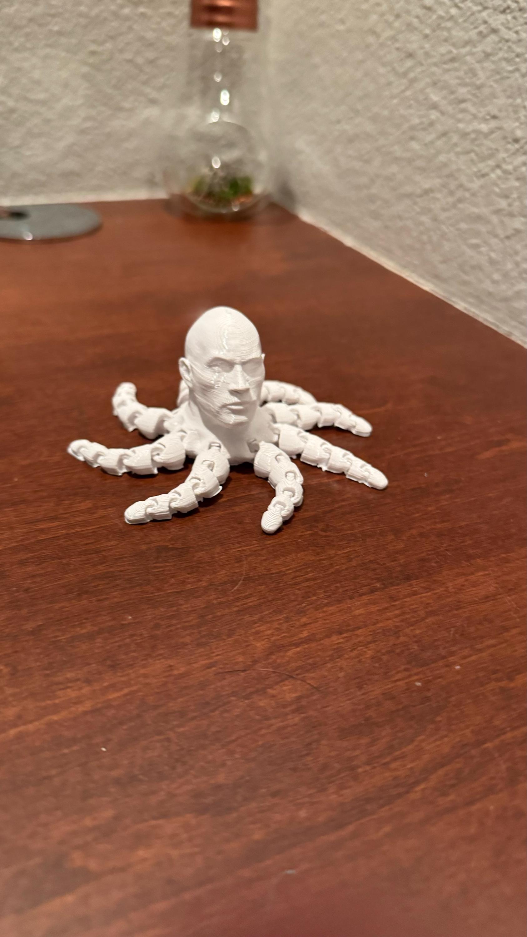 3D Printed Roctopus - Etsy