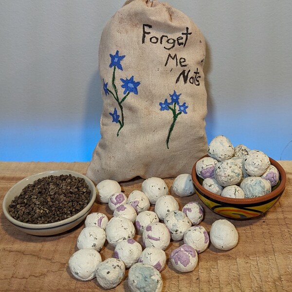 Seed Bombs - Etsy
