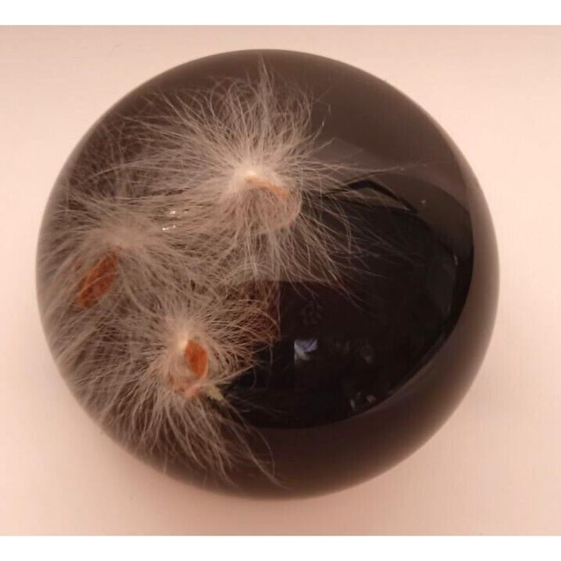 Tarax Infinity Paperweight Milkweed Seed Resin Plant Nature Handcrafted ...