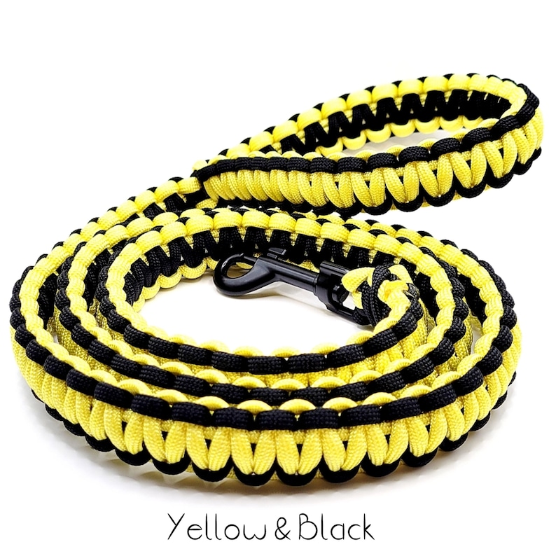 6' Paracord Single Braid Dog Leash - Etsy