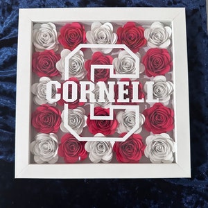 Graduation Paperflower Shadow Box, Graduation Keepsake, Graduation ...