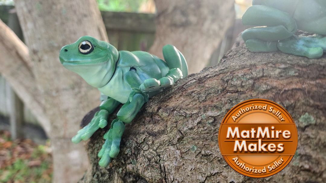 2 Pack White's Tree Frog Bundle Articulated Toy Painted - Etsy