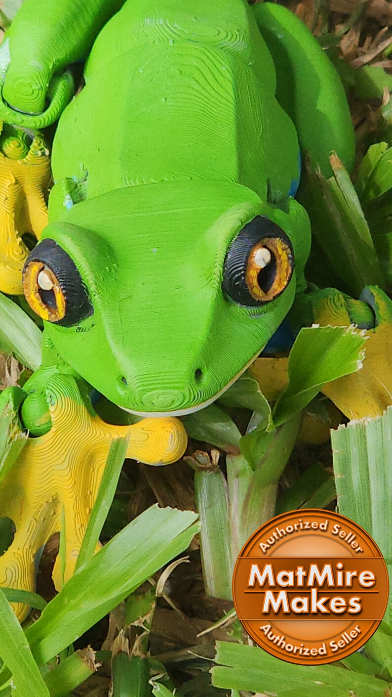 Articulated Colorful Tree Frog Painted - Etsy