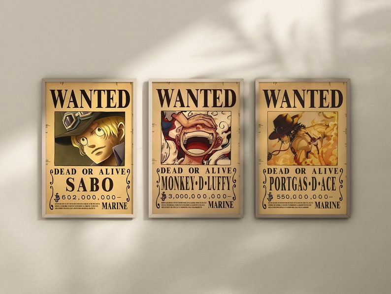 25+ Wanted Poster One Piece 10K 300dpi JPG BUNDLE | High Quality ...