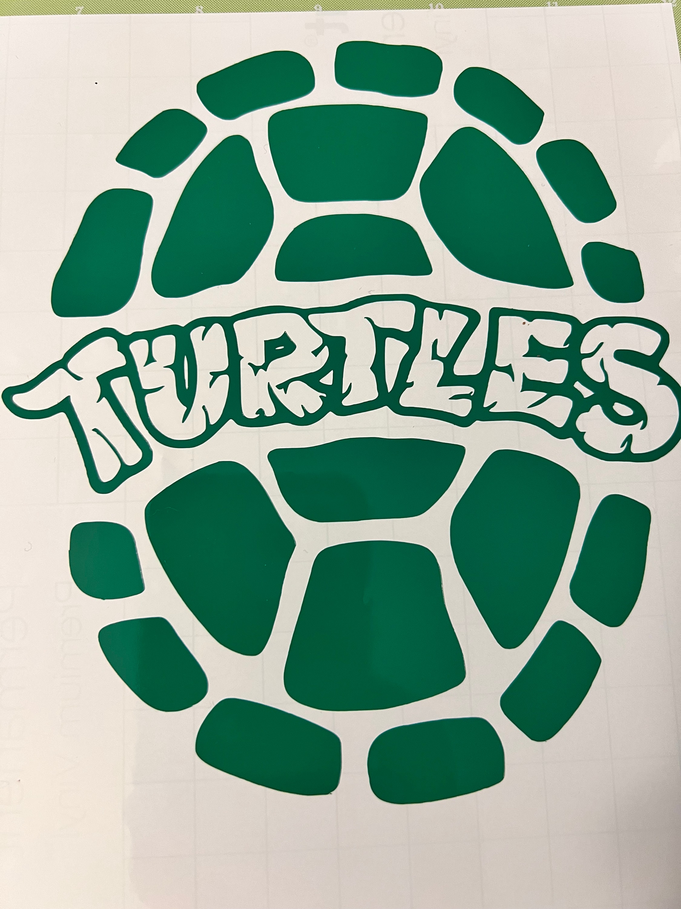 TMNT Teenage Mutant Ninja Turtles Heroes in a Half Shell Turtle Shell ...