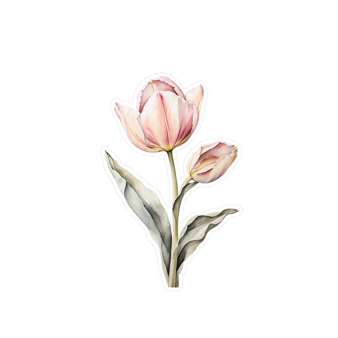 Watercolor Pink Tulip Sticker Kiss-cut Sticker Spring Floral Flower ...