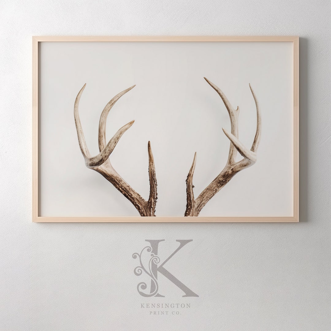 Modern Deer Antlers Photo Painting Artistic Wall Art Print DIGITAL Art ...